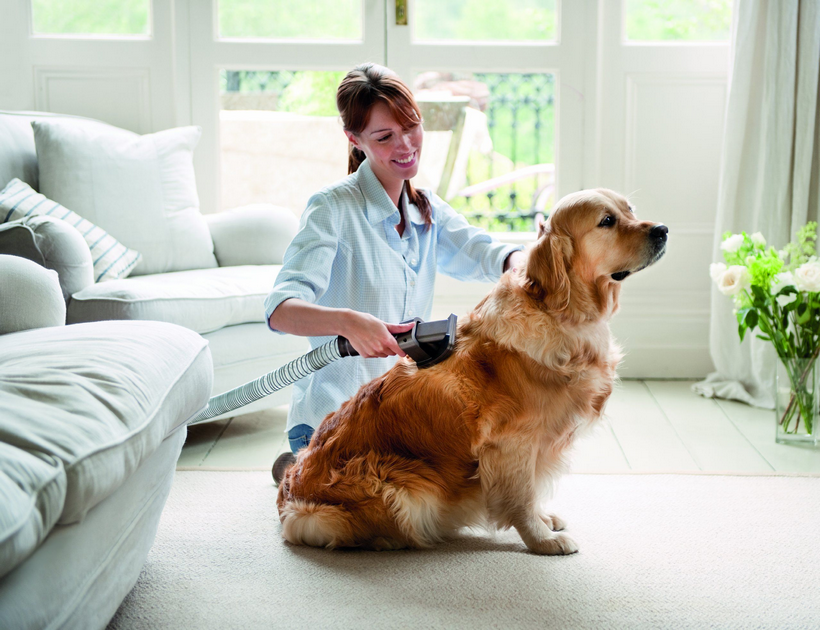 How To Look After A Pup. One of life’s greatest pleasures is… | by ...