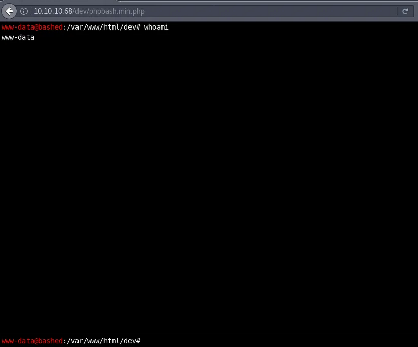 HackTheBox Bashed — Report Findings Write-up | by Anglose Security | Jan, 2024 | Medium