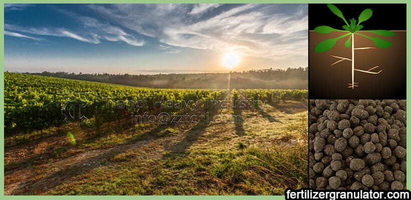 Biofertilizer production process and application effect analysis | by ...