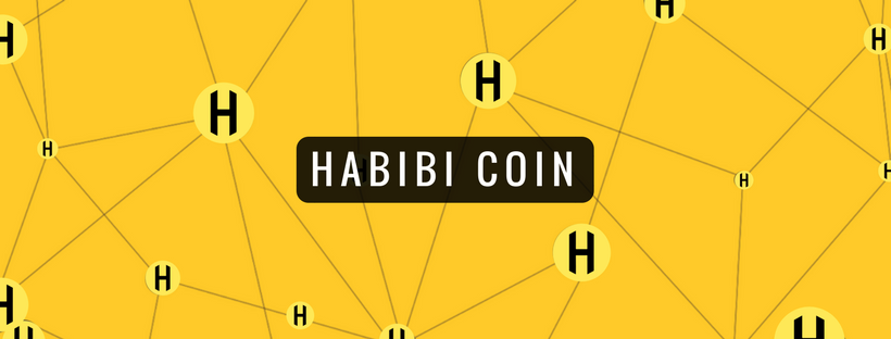About Habibi Coin Project. Habibi Coin Project Overview | by Habibi ...