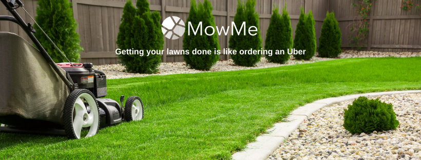 Starting mowme.app. “If you are not embarrassed by the… | by MowMe | Medium