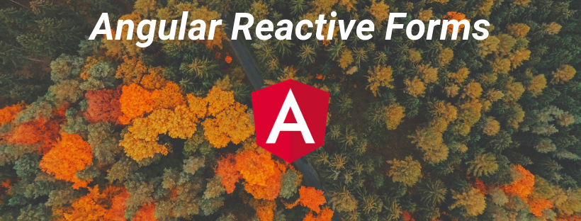 Angular Reactive Form. In this article I will go over how to… | by ...