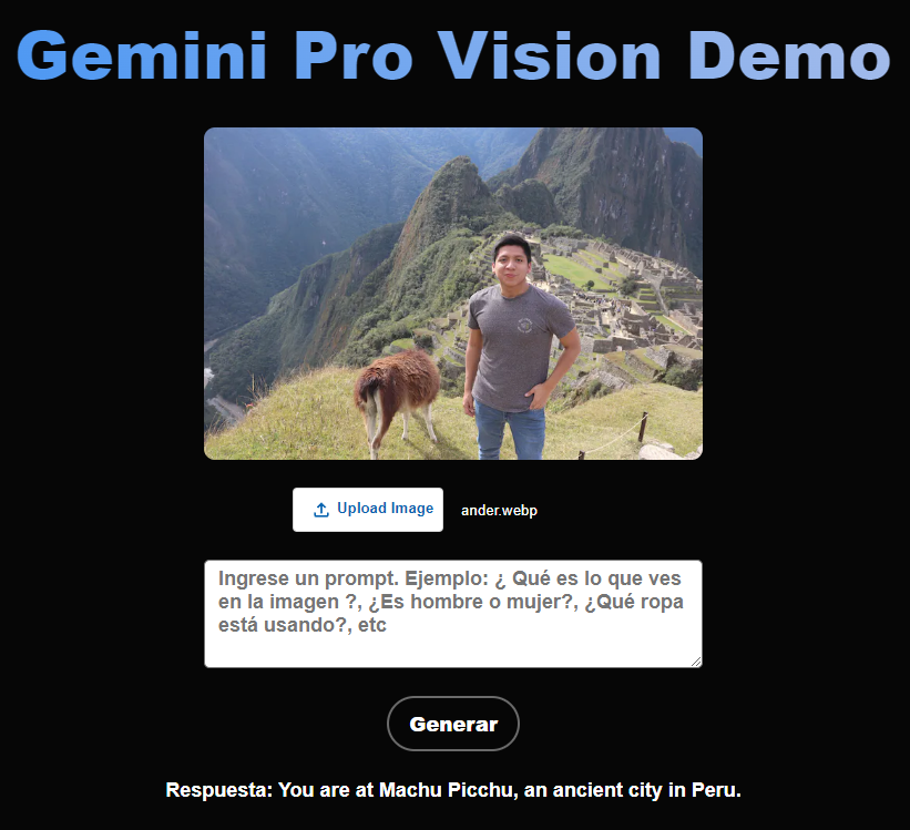 Integrating Gemini Pro Vision into Your Project: A Practical Guide with ...