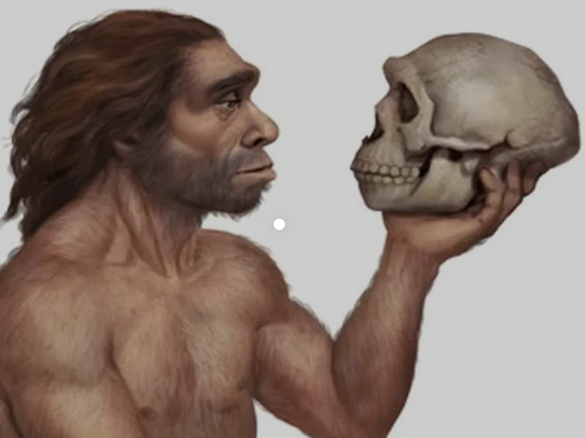 Who Were The First Humans?. The First Humans: | by The Philosopher | Medium