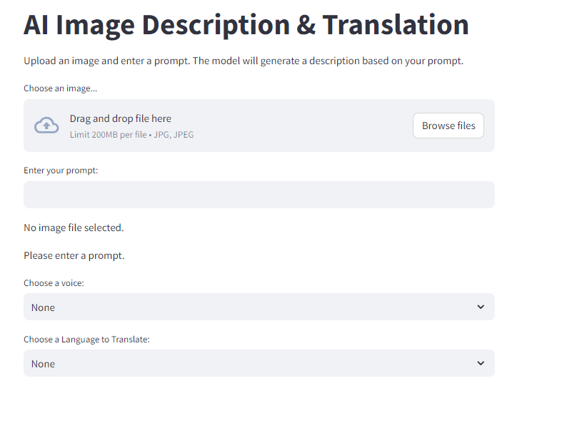 Image to text and voice translation using Gemini Pro | by Venkatesh ...