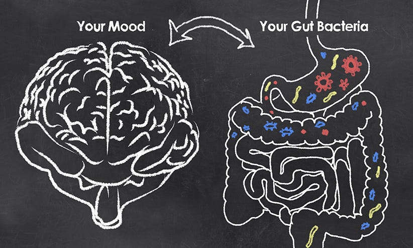 The Gut-Brain Connection. What’s happening in your gut is… | by Dr ...