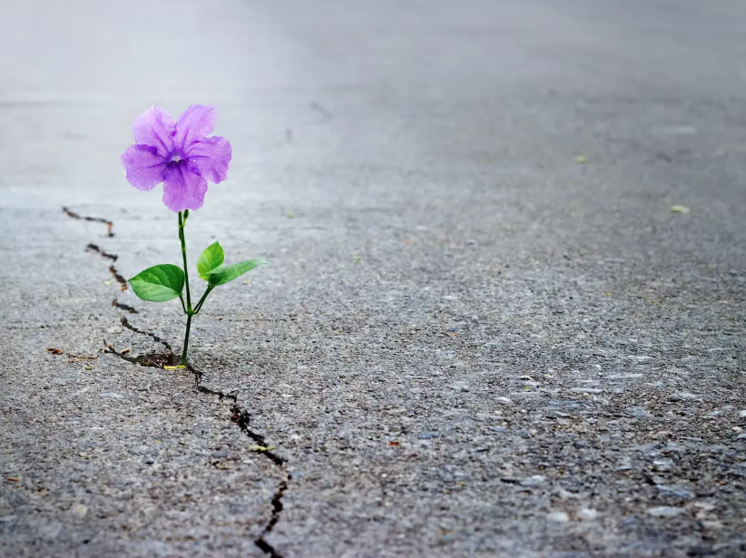 “I feel, I am dead!”. “Once you find a meaning in what you… | by ...
