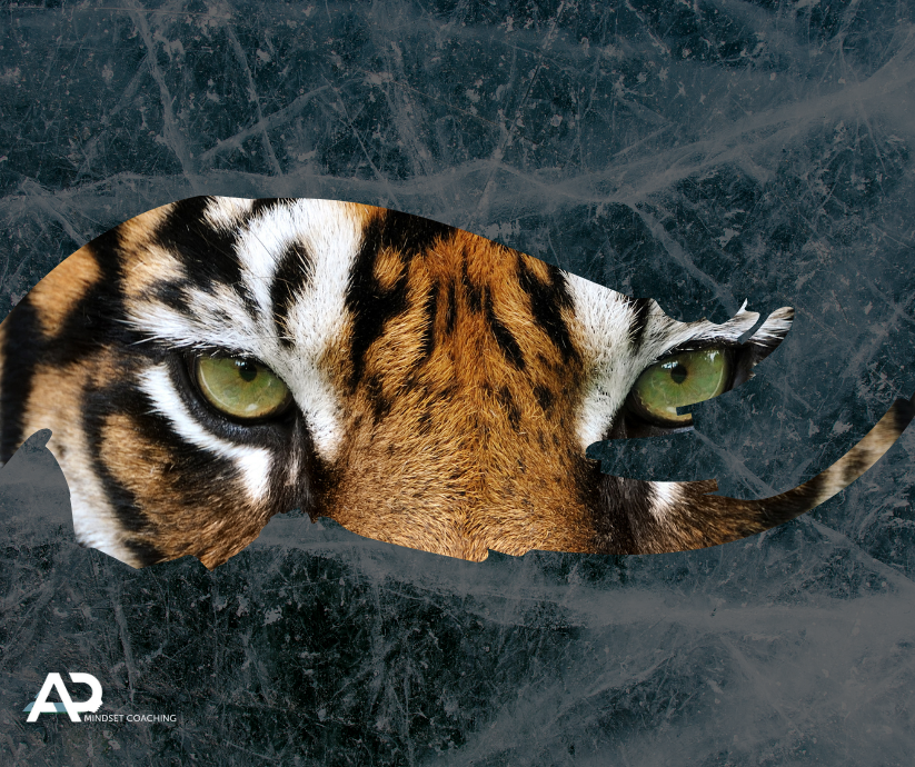 Finding The Eye of The Tiger: 2 Powerful Ways to Heal Stress | by A ...