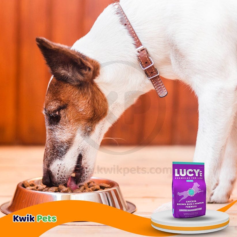 Discover the Benefits of Lucy Pet Food: A Comprehensive Guide | by Kwik Pets | Jul, 2024 | Medium