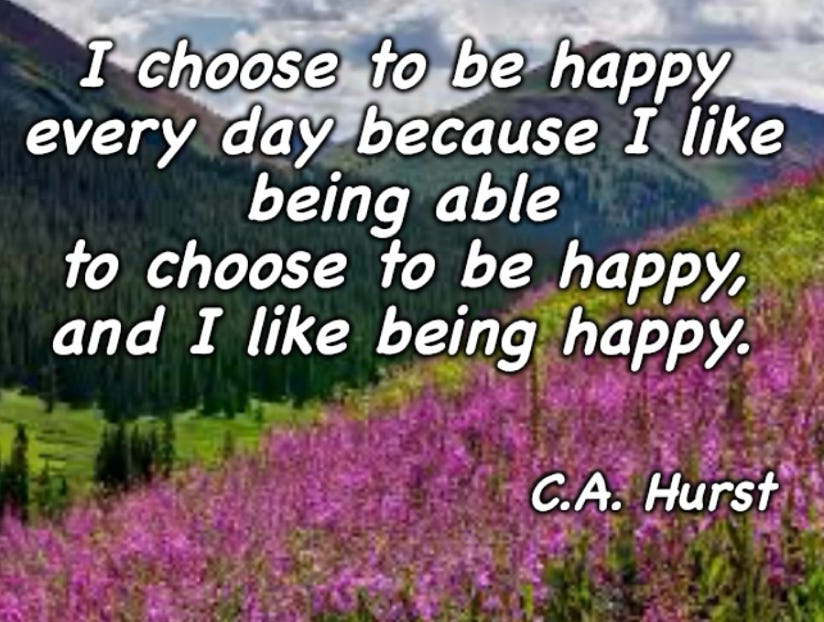 Happy! - C. A. Hurst - Medium