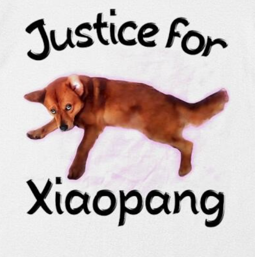 Commspilled — Dogs Growling. 1. Introduction: Xiaopang | by Elevator to ...