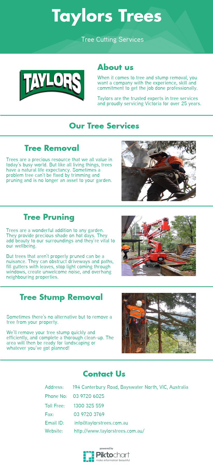 Tree Services Provider Victoria | by Taylors Trees | Medium