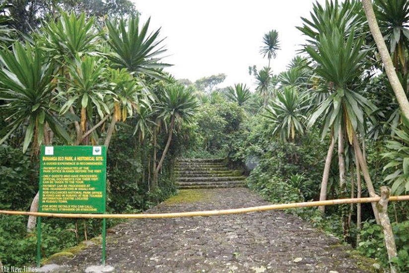 Buhanga forest: Rwanda’s birthplace of kings | by Kigali Shapers | A ...