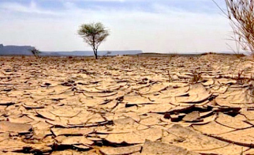 Famine in Kenya. Photo credit: allAfrica | by Willem Van Cotthem ...