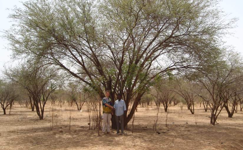 Fighting desertification with trees in Chad | by Willem Van Cotthem ...