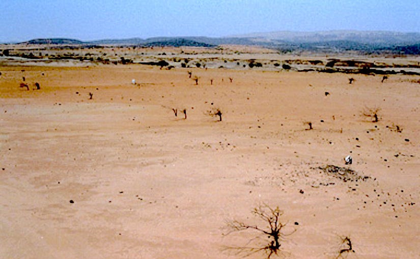 combining drought with land abuse | by Willem Van Cotthem ...