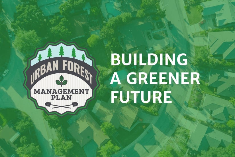 Building a Greener Future. Navigating Urban Forest Management with ...