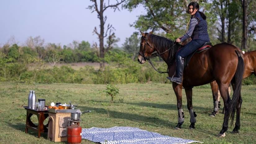 Enthralling Equestrian Escapades - aalia collections - Medium