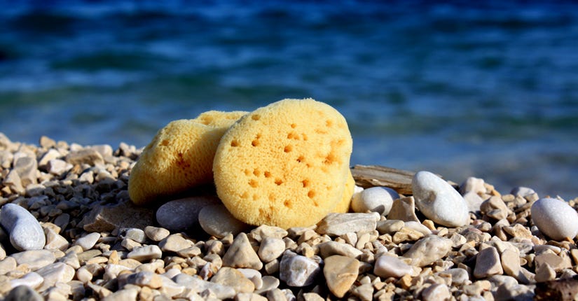 Bath Accessories Fino Silk Face Sea Sponge - House of Adam - Medium