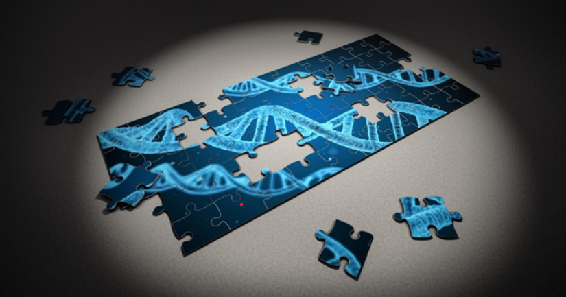 A New Way For Encryption And Decryption Algorithm Dna Cryptography