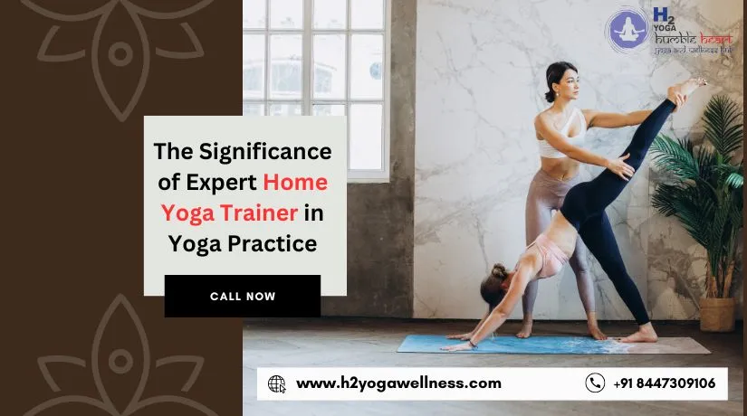 The Significance of Expert Home Yoga Trainer in Yoga Practice | by ...