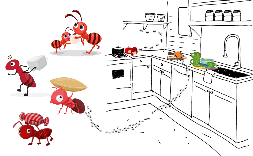 Ant Invasion: How Ants Almost Took Over My House | by RY | Medium