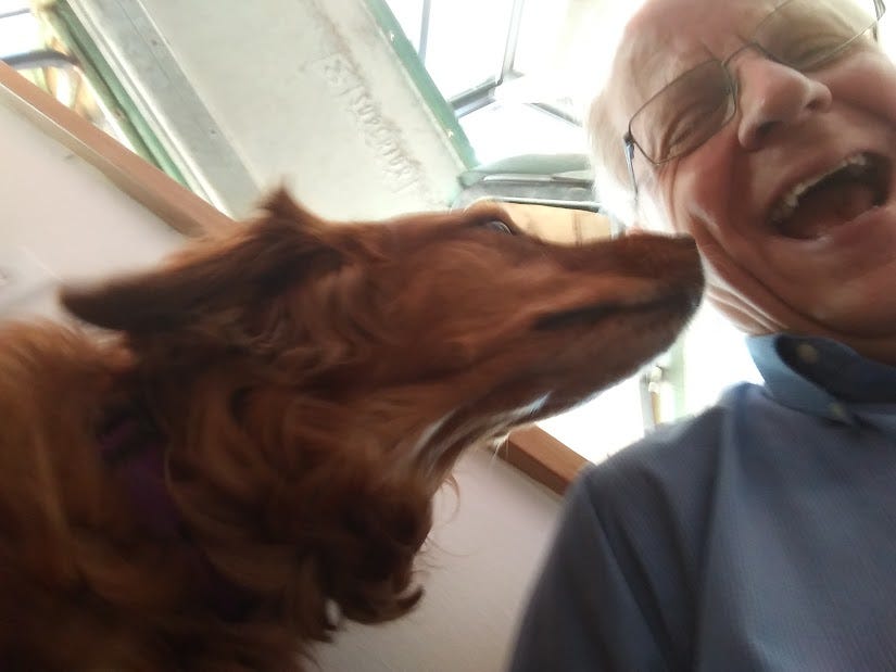 Dog-Eared Books Says Goodbye to ‘Lovie,’ the Original Bookstore Dog ...