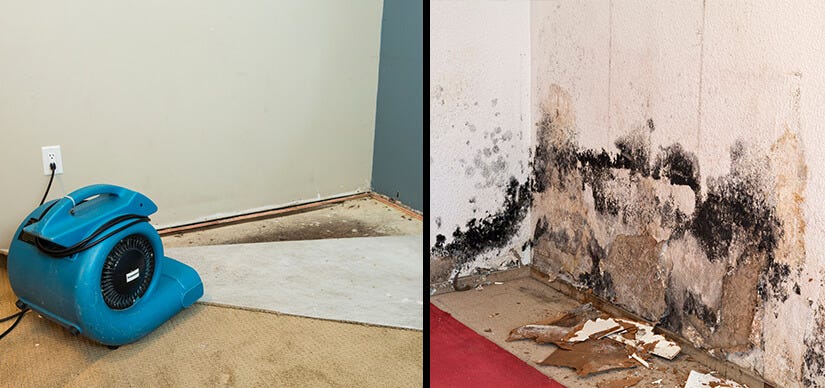 Understanding The Different Types of Water Damage And How To Deal With ...