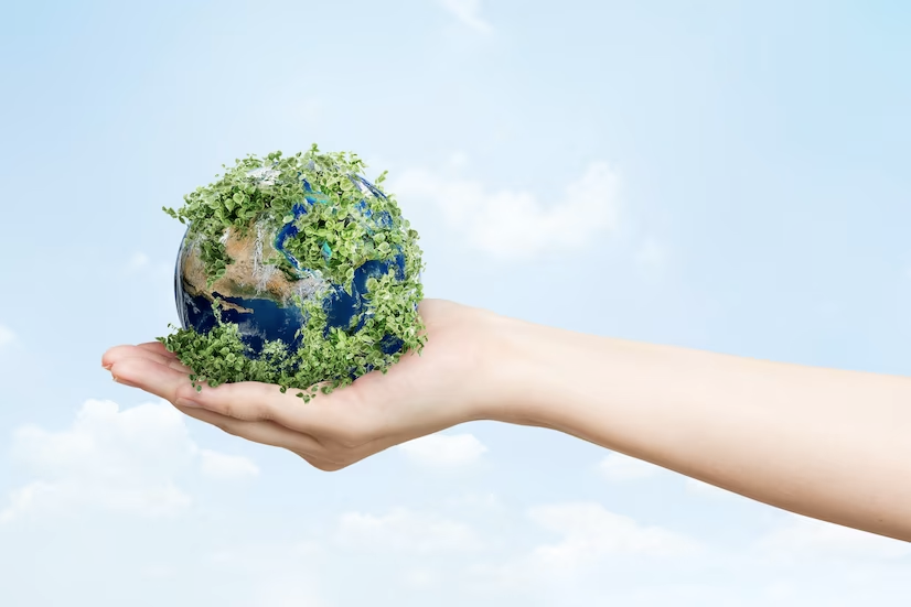 Harmony in the Environment: Nurturing a Sustainable Future | by ...