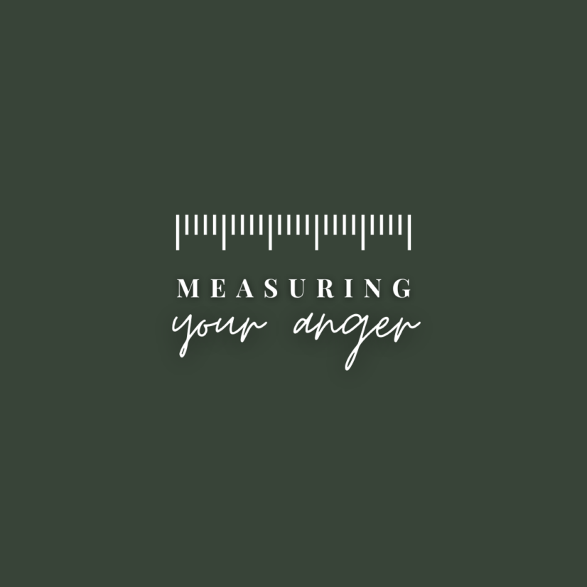 Measuring Your Anger. If you struggle with anger, taking the… | by GROW ...