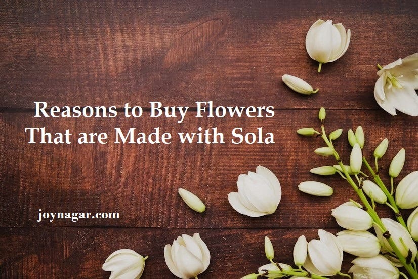 Top 4 Reasons to Buy Flowers That are Made with Sola - Joynagarer Moa ...