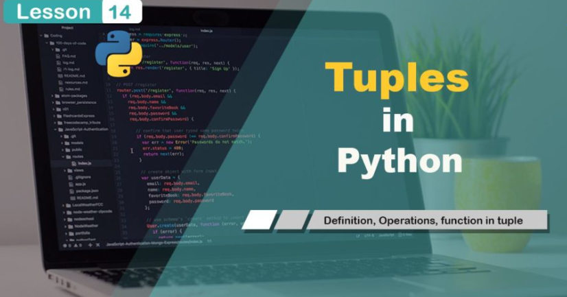 Learn the Basics of Python: Tuples | by JP Cost | May, 2025 | Medium
