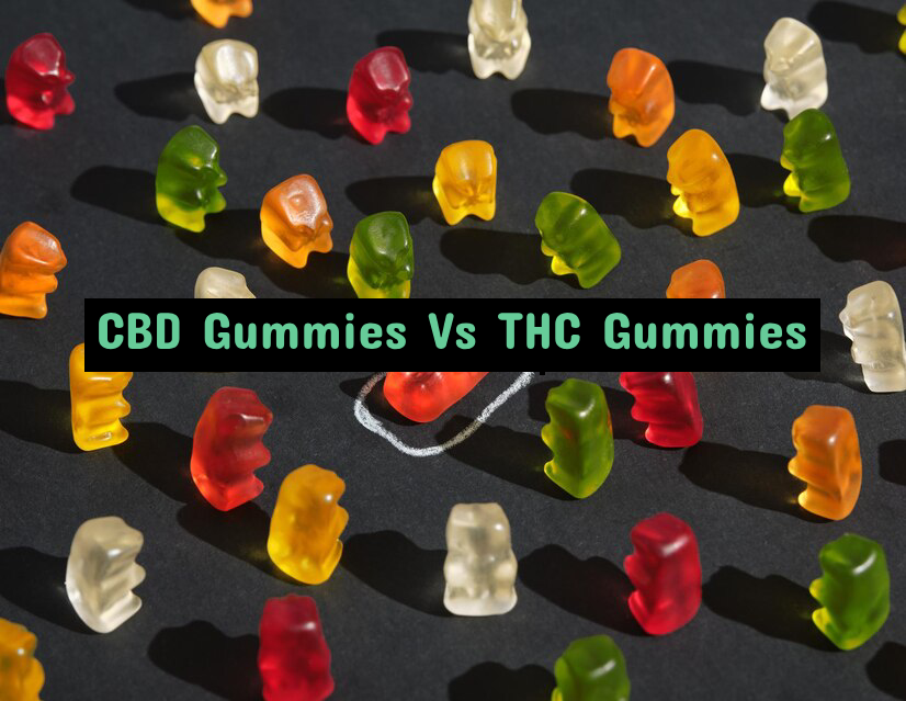 CBD Gummies vs. THC Gummies: Ultimate Guide | by Shopnirvanaorganics | Nov, 2023 | Medium