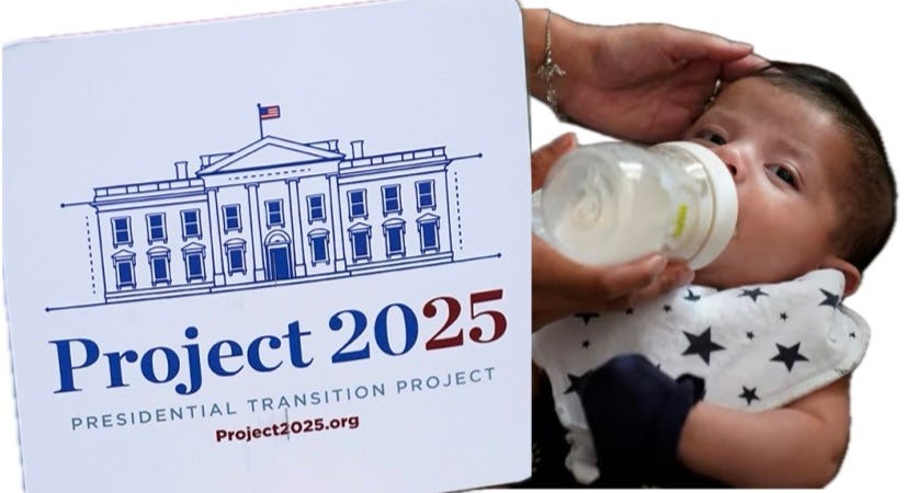 Project 2025:. Baby Formula | by Analyst | The Analyst Point Of View ...