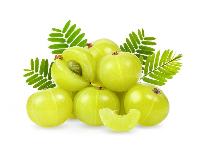 Amla Fruit Capsules: Your Gateway to Natural Health | by Biovitalia ...