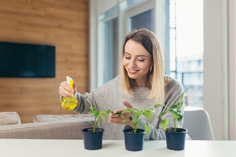 Green Thumb Inside Expert Tips For Successful Indoor Gardening By