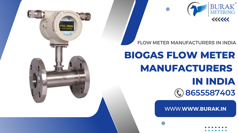 WHAT IS A BIOGAS FLOWMETER?. WHAT IS A BIOGAS FLOWMETER? | by Saeed ...