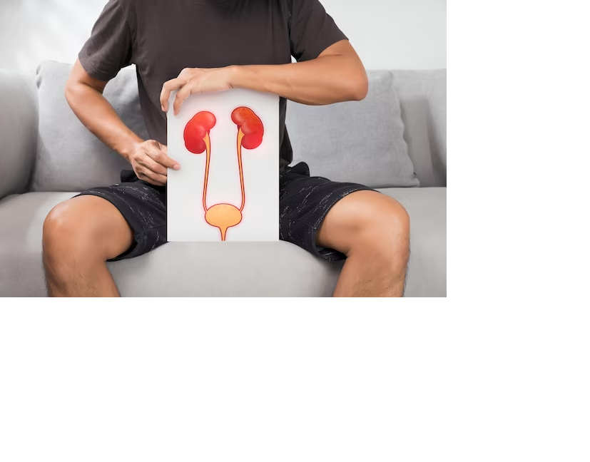 StoneBreaker: Homeopathic Support for Renal Calculi | by Szoya | Medium