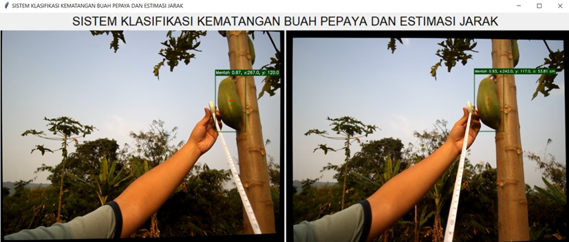 YOLOv7 and Stereo Vision for Ripeness Classification of Papaya Fruit ...