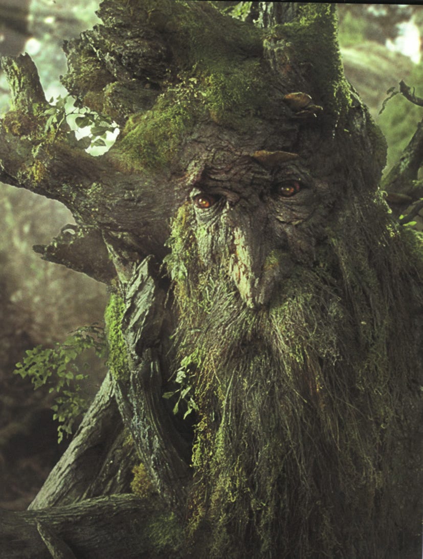 Ent-ropy. Slow your ass down | by John Blythe | Medium