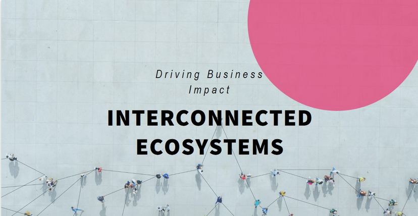 Pitching of the Interconnected Business Ecosystem Framework | by Paul ...