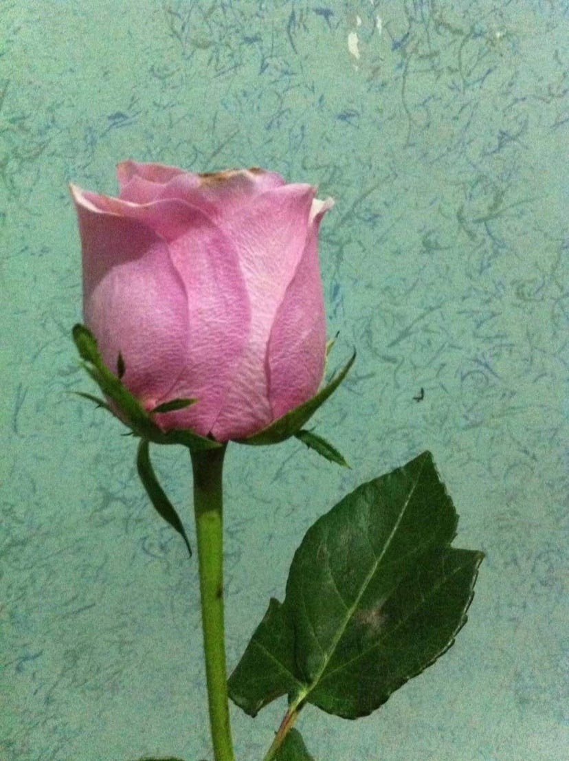 Part Three. What did I do? | by Irah Nica | May, 2024 | Medium