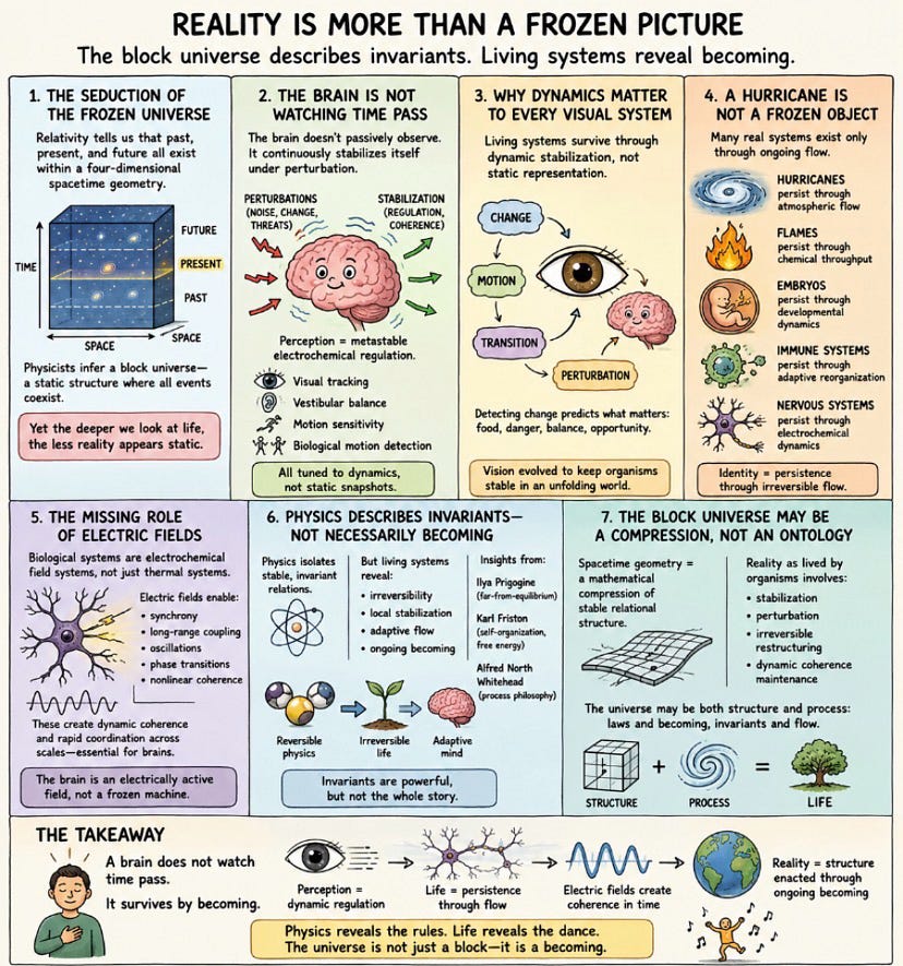 Why the Brain Challenges the Literal Block Universe | by Bill ...
