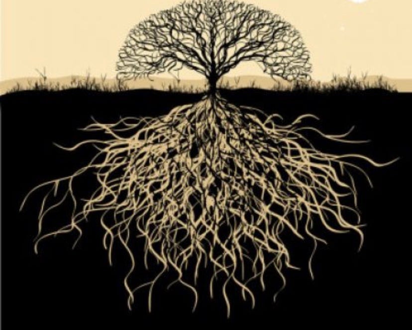 Rooted. (Inspired by the message “What do you… | by Laurita Vé | Medium