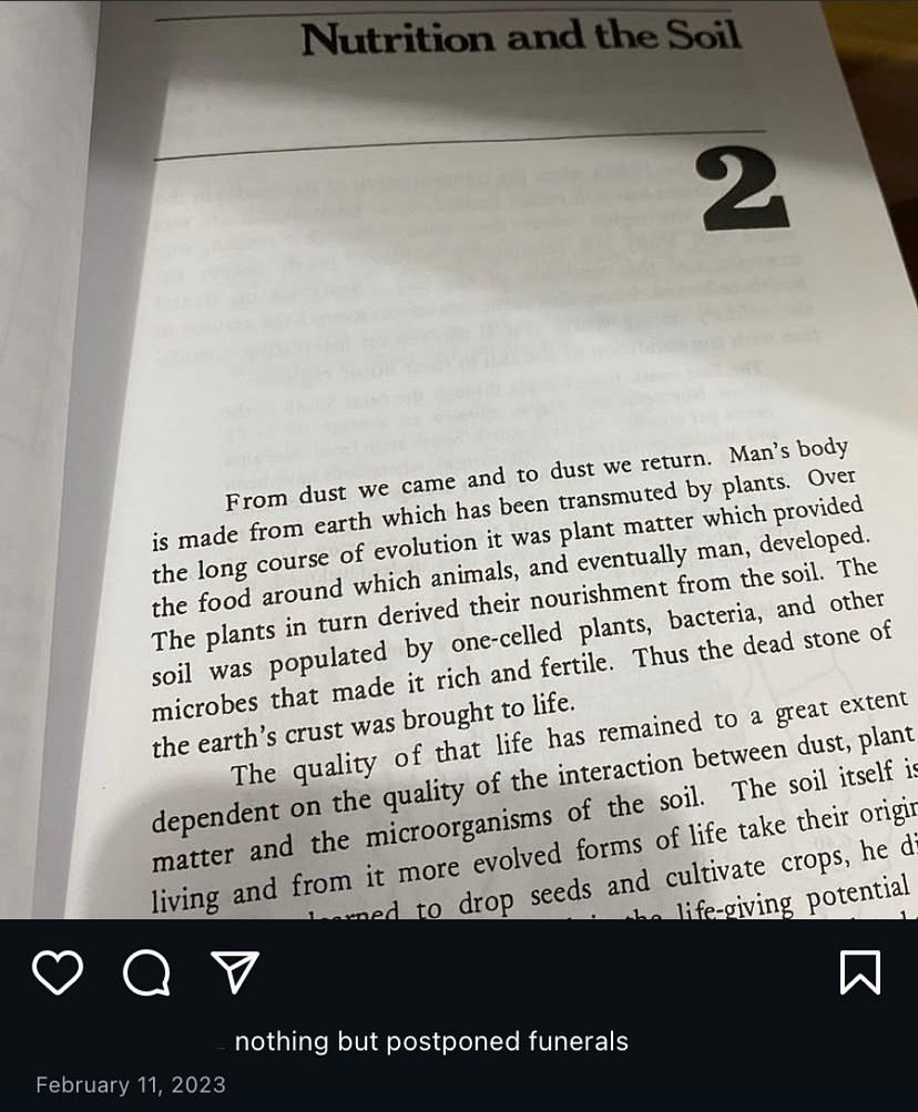 We Are Nothing but Postponed Funerals | by selvi | Journal Kita | Medium