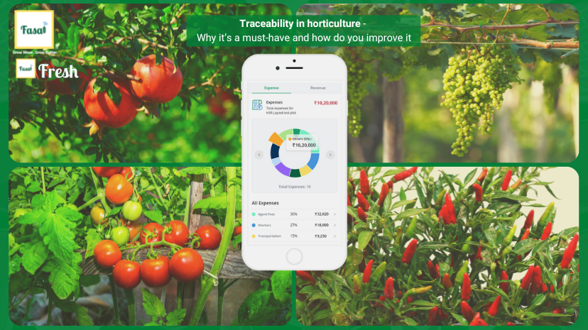 Traceability in horticulture — Why it’s a must-have and how do you ...