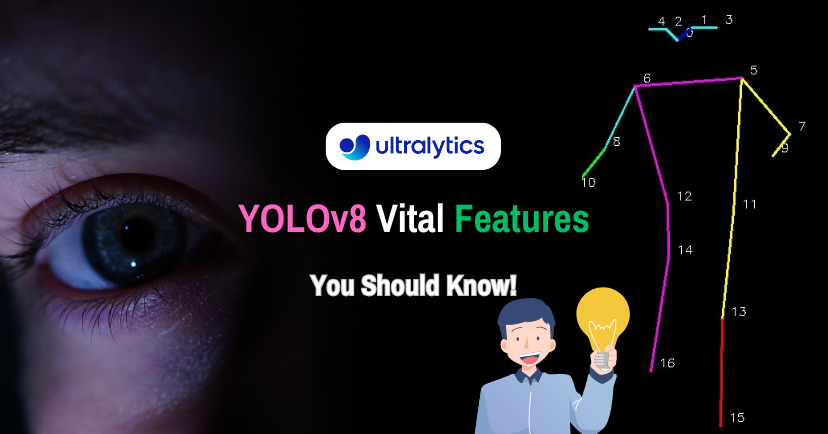 Ultralytics YOLOv8 Vital Features🤔You Should Know! | by Muhammad Rizwan ...