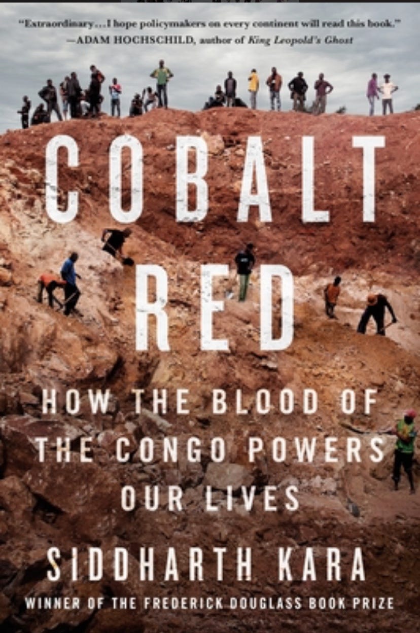 Cobalt Red By Siddharth Kara – This one was a mistake | by Kavitha ...