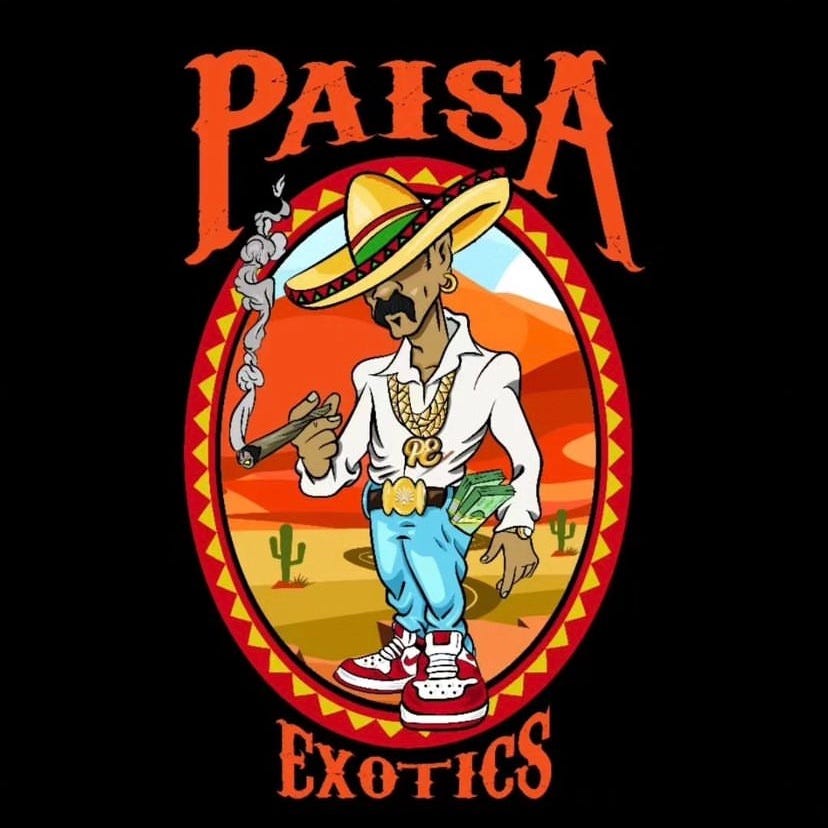Paisa Logo