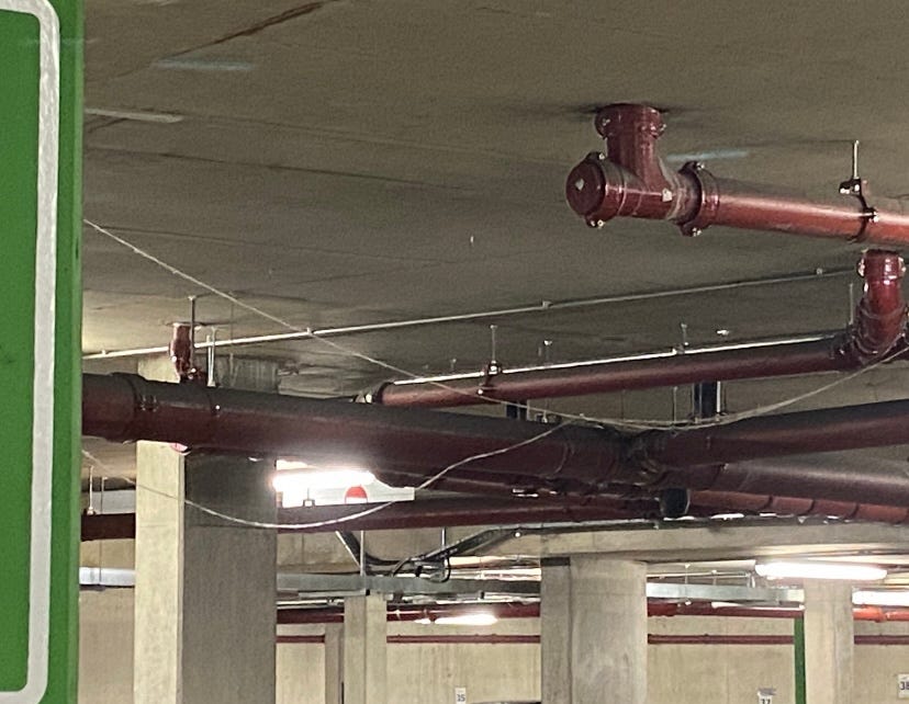 What Kind Of Creatures Are We Dealing With? | by Daniel's Diary | The ...